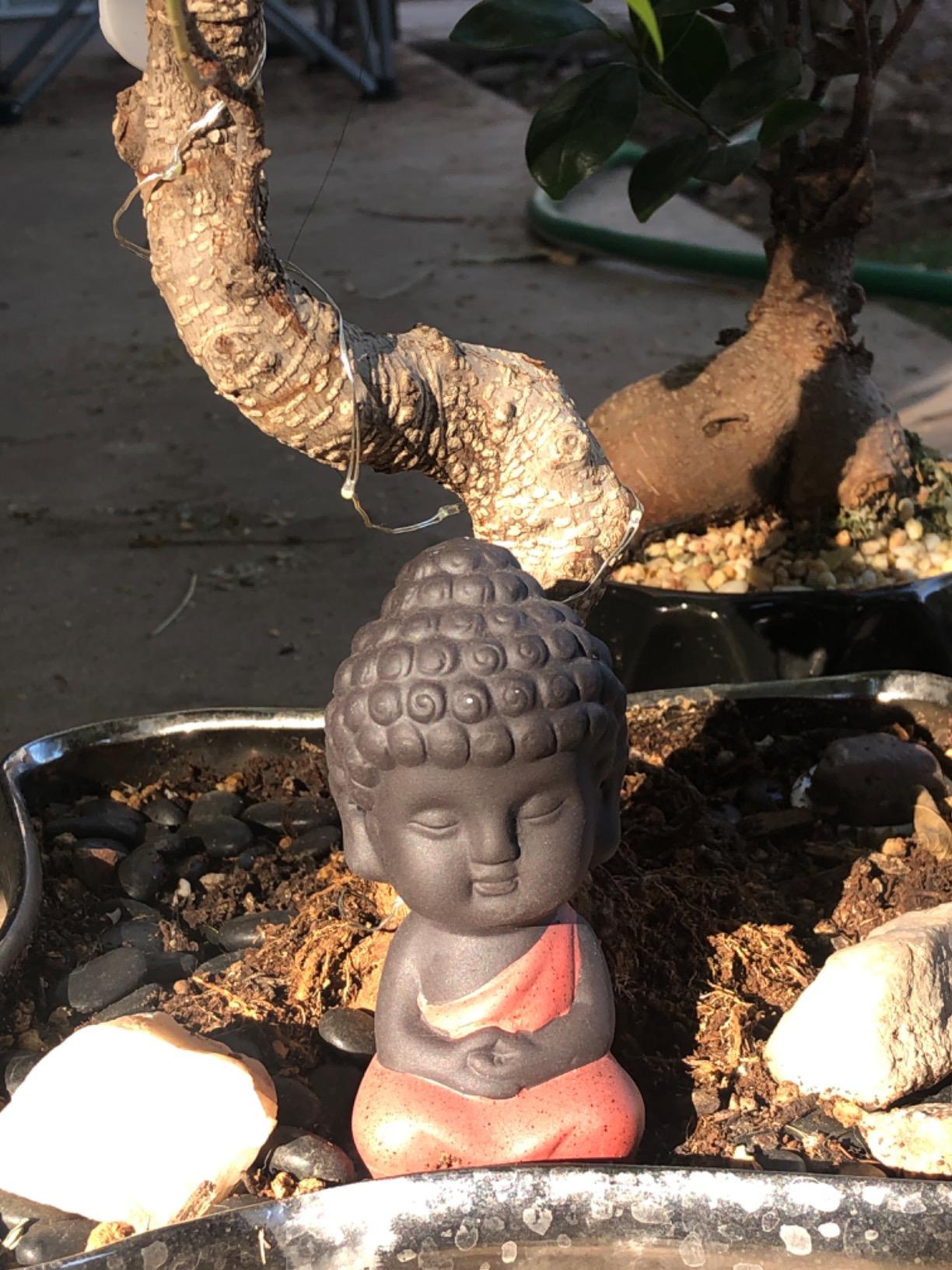 Amazon.com: One Cute Small Buddha Statue, Ceramic Little Cute Buddha ...