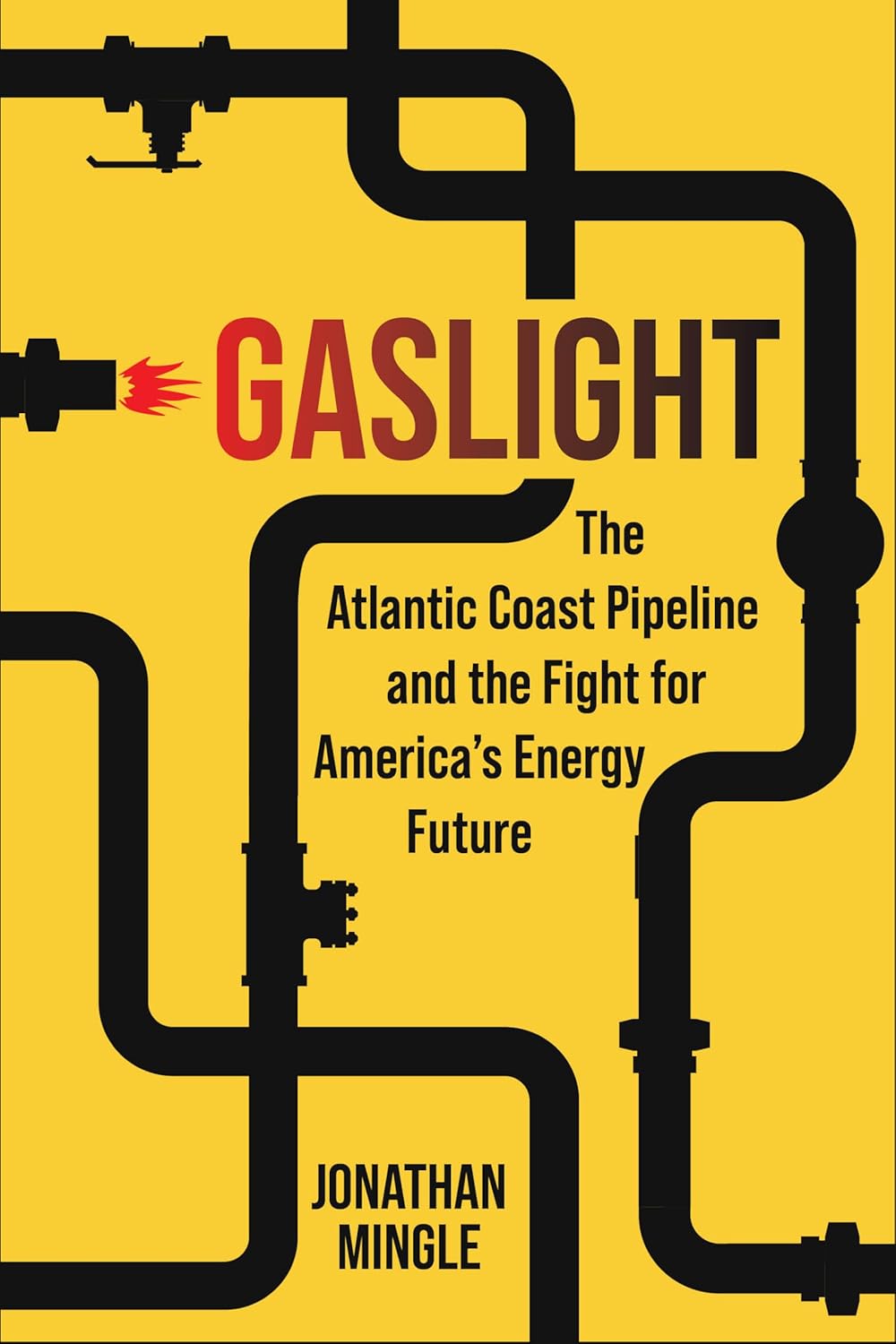 Amazon.com: Gaslight: The Atlantic Coast Pipeline and the Fight for ...