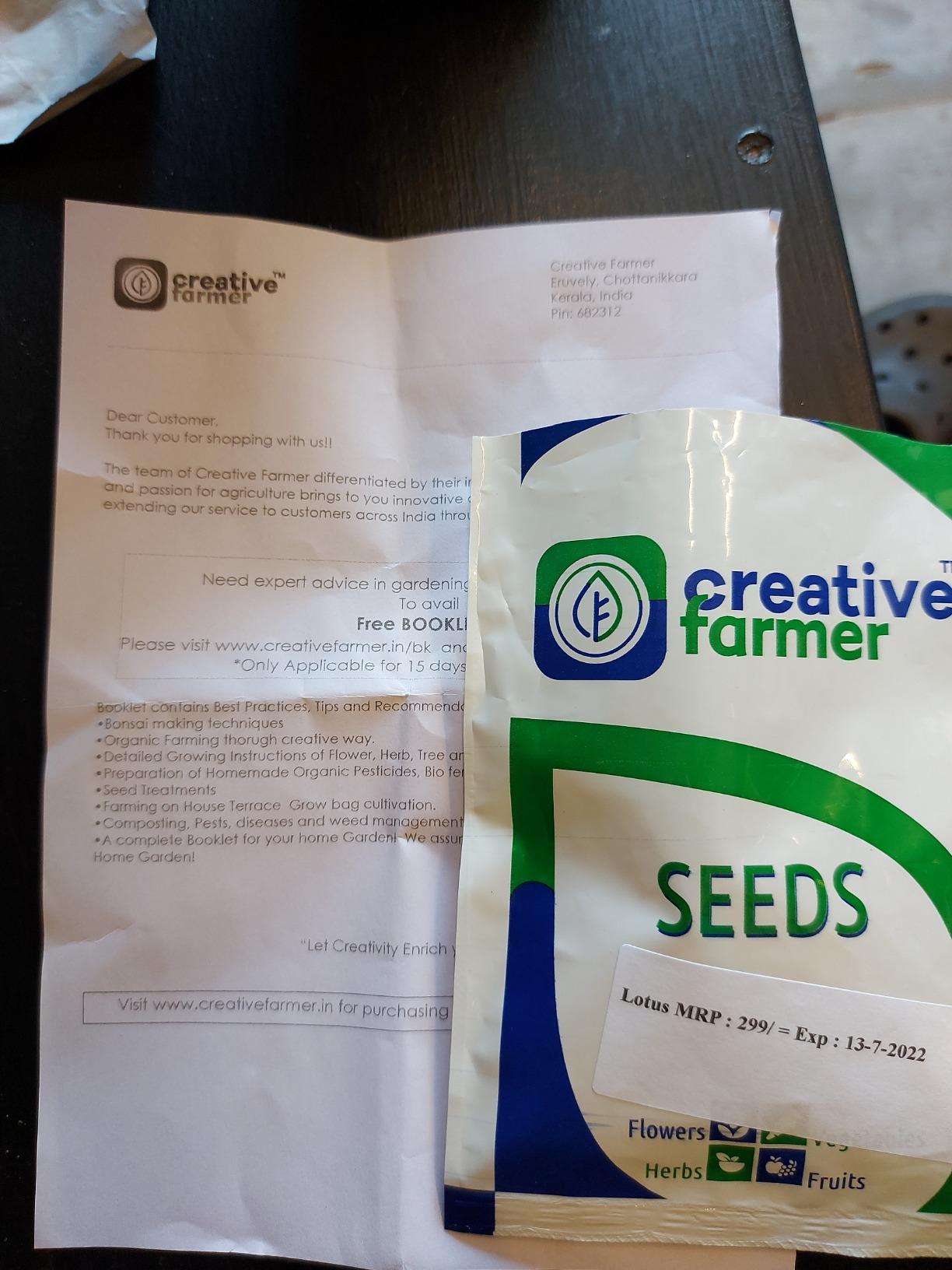 Creative Farmer Lotus Seeds : Flower Seeds 15 Seeds- Winter Season ...