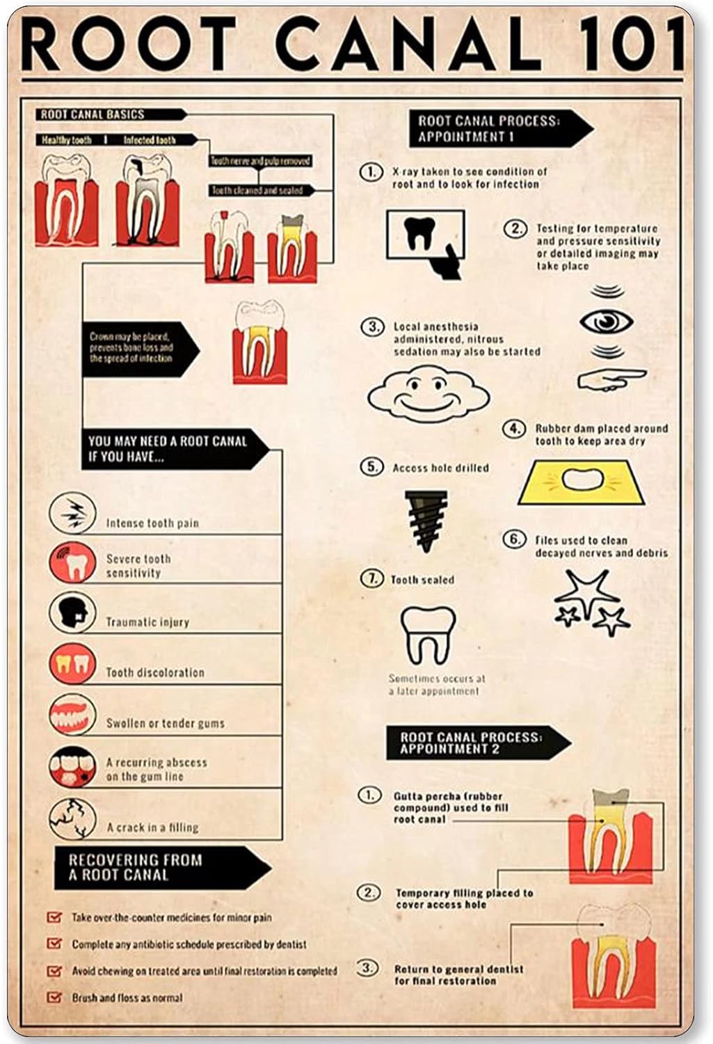 Amazon.com : Dentist Knowledge Metal Tin Sign Root Canal 101 Guide ...