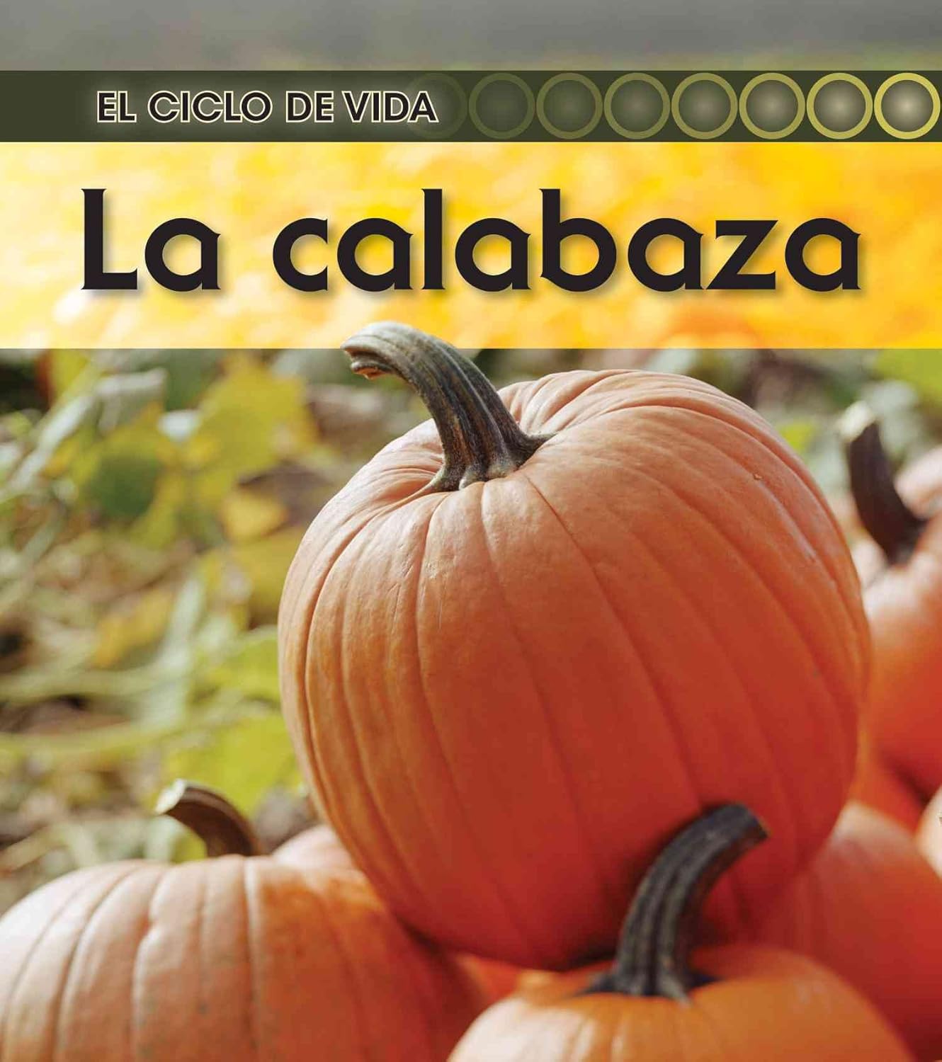 La calabaza / Pumpkin (El ciclo de vida / Life Cycle of a) : Fridell ...
