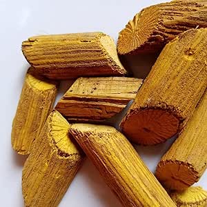 Amazon.com: Premium Coscinium Fenestratum (Weniwelgata) - 400g ...