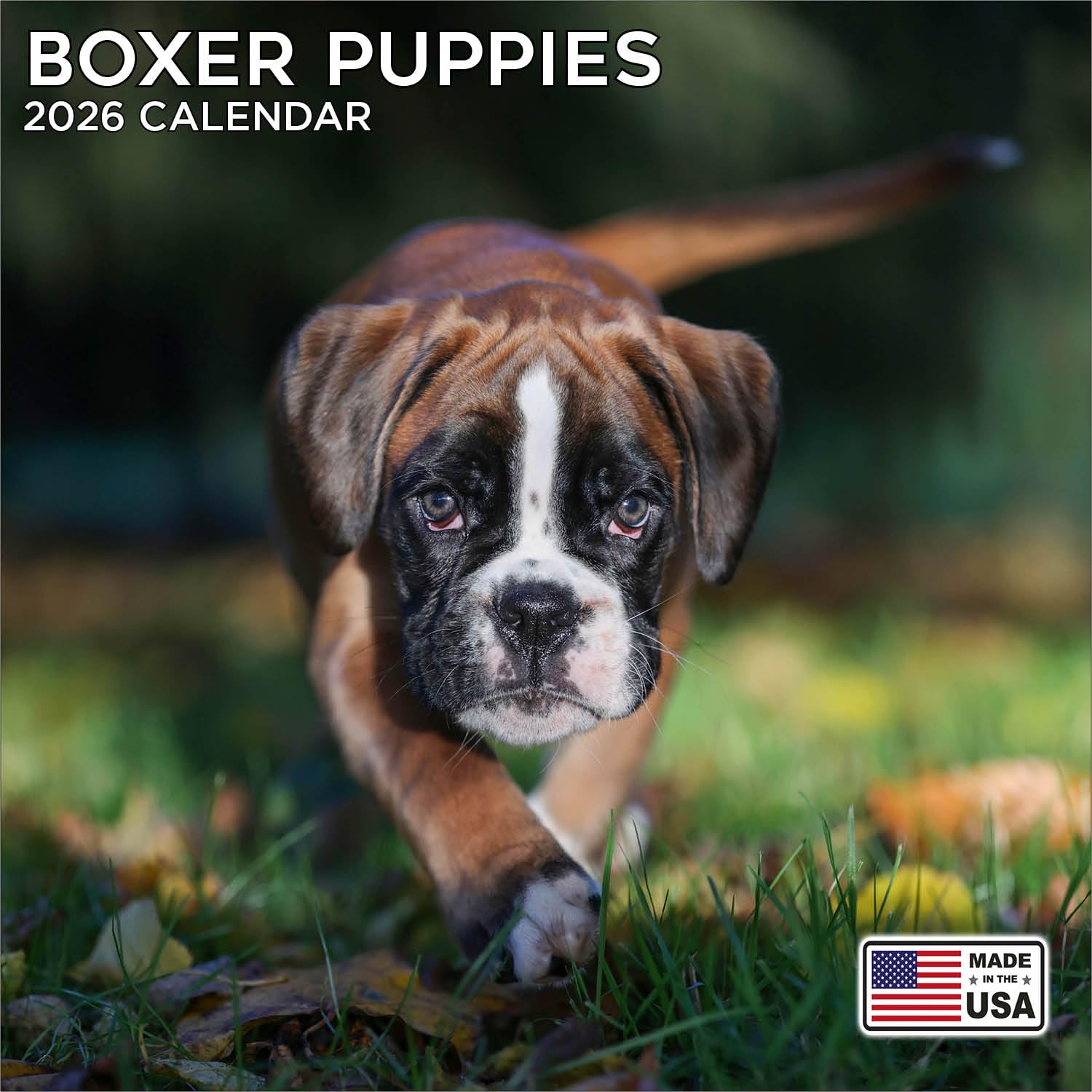 Snapklik.com : 2026 Boxer Puppies Calendar - Dog Breed Wall Calendar ...