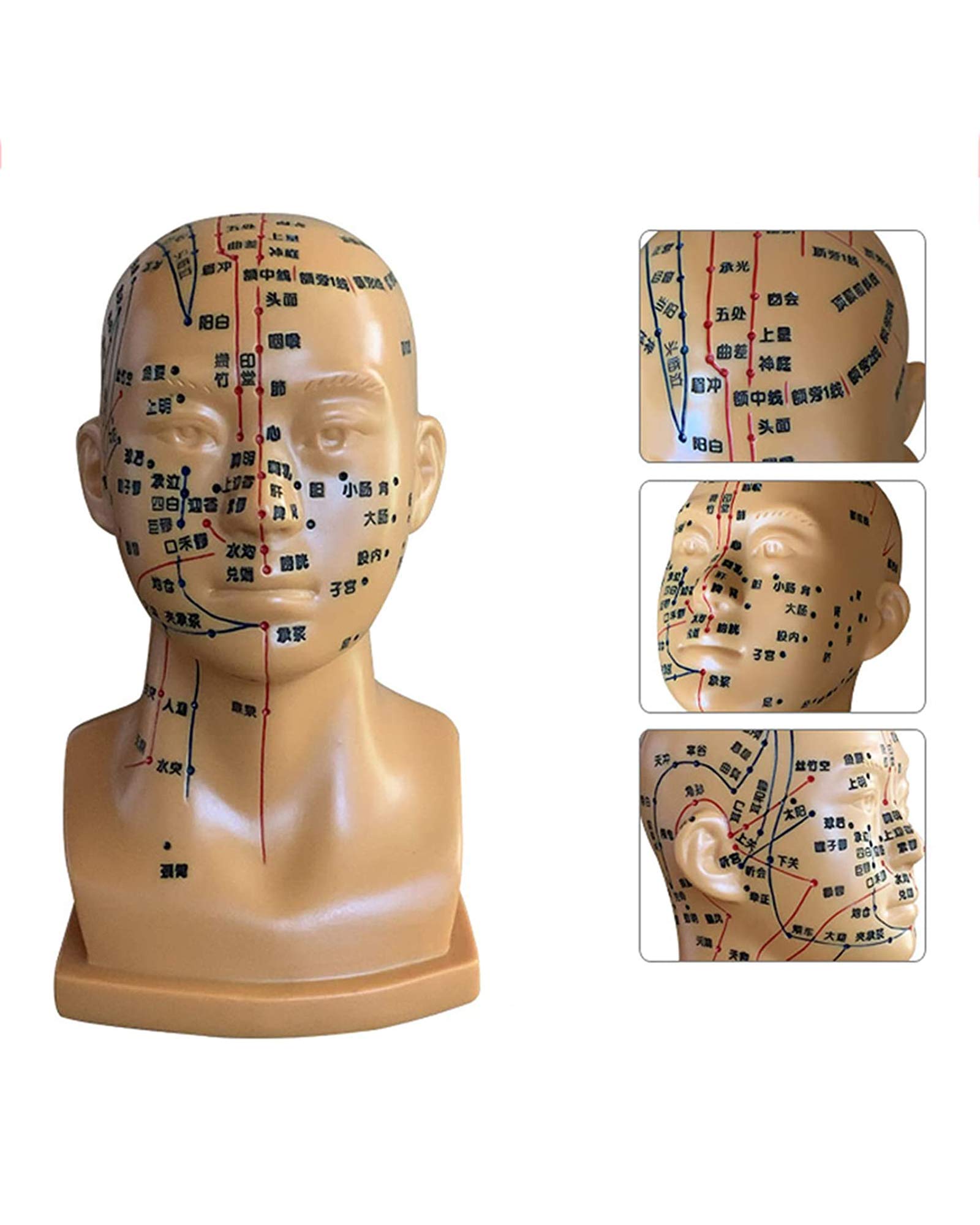 Face Acupuncture Point Diagram
