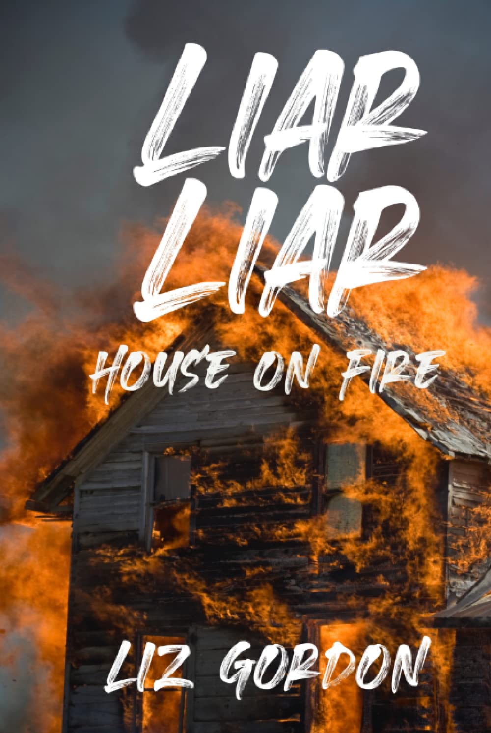 Amazon.com: LIAR LIAR HOUSE ON FIRE: 9781737774945: Gordon, Liz: Books