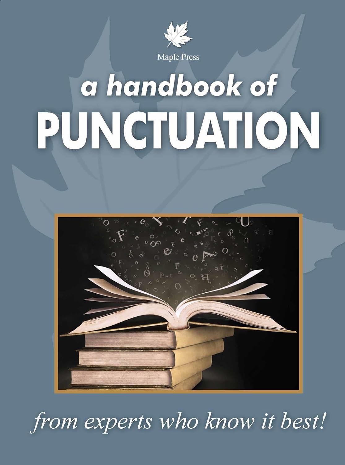 A Handbook of Punctuation Maple Press: Maple Press: 9789352231263 ...