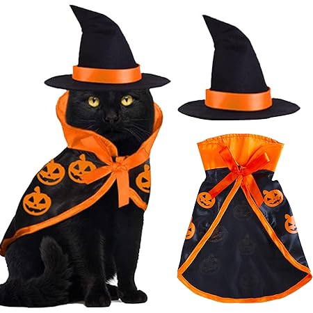 Amazon.com : Cute Hooded Cloak Witch/Wizard Halloween Holiday Costume ...