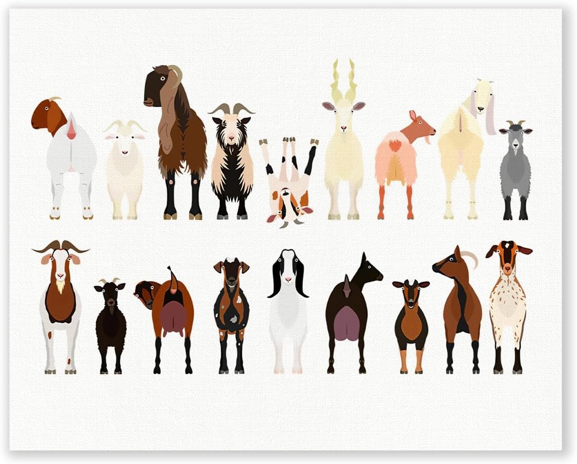 Amazon.com: APJYM Goat Wall Art, Goat Breeds Wall Art Poster Prints ...
