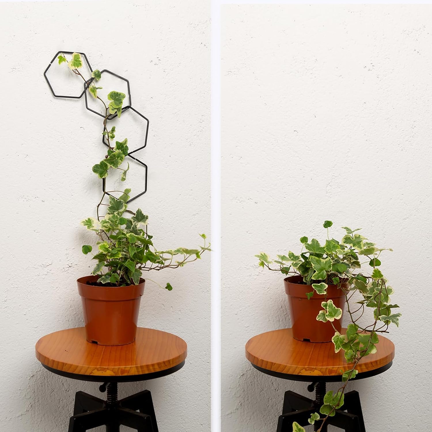 BOOXMIMI Hexagonal Metal Plant Trellis for Climbing Plants – Indoor ...