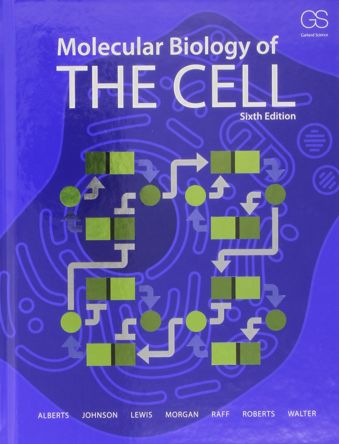Amazon.com: Molecular Biology of the Cell: 9780815344322: Alberts ...