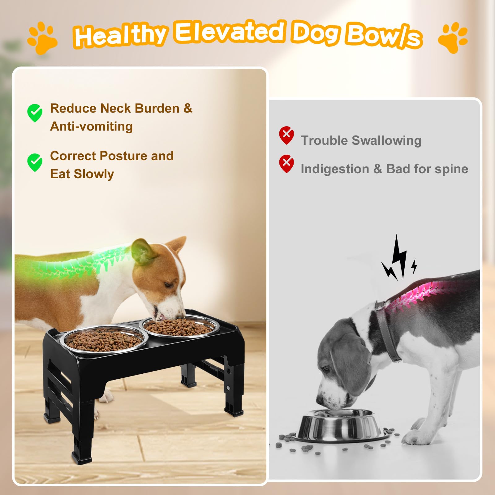 Snapklik.com : Elevated Dog Bowls For Small Medium Dogs 3 Height ...