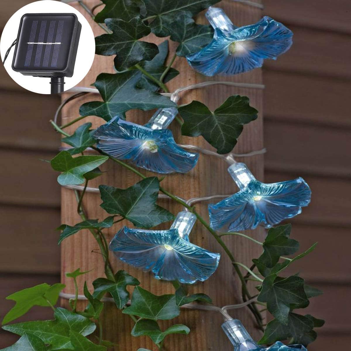 Amazon.com : ibdone Solar LED Flower String Lights, 33FT 10 LED ...