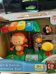Amazon.com: VTech Learn and Dance Interactive Zoo : Toys & Games