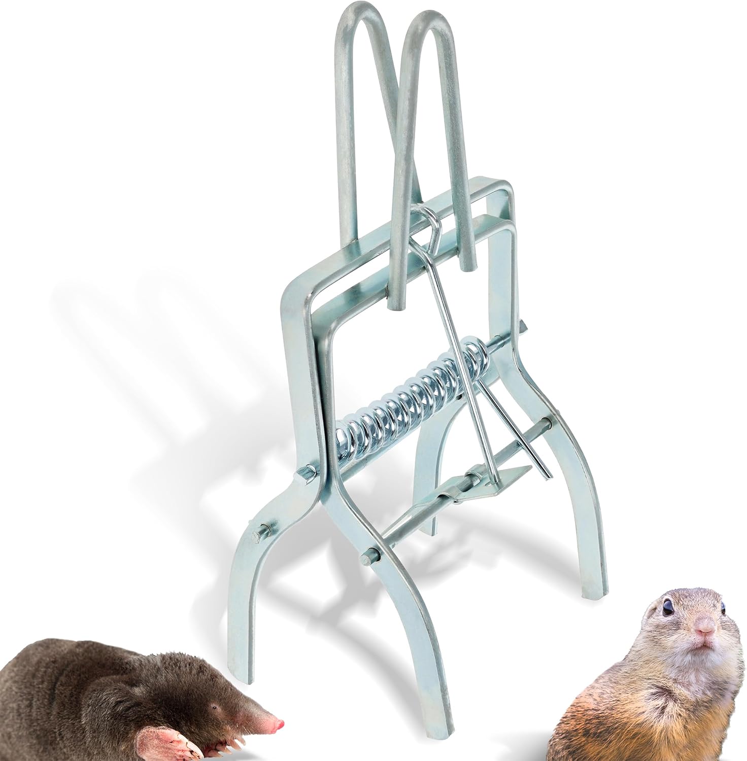 Amazon.com : Ruralty Clamp Mole Trap - Mole Claw Trap 1pk Gopher Snare ...