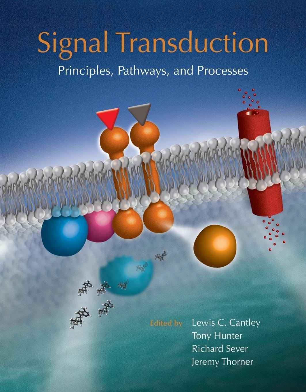 Buy Signal Transduction: Principles, Pathways, and Processes Book ...