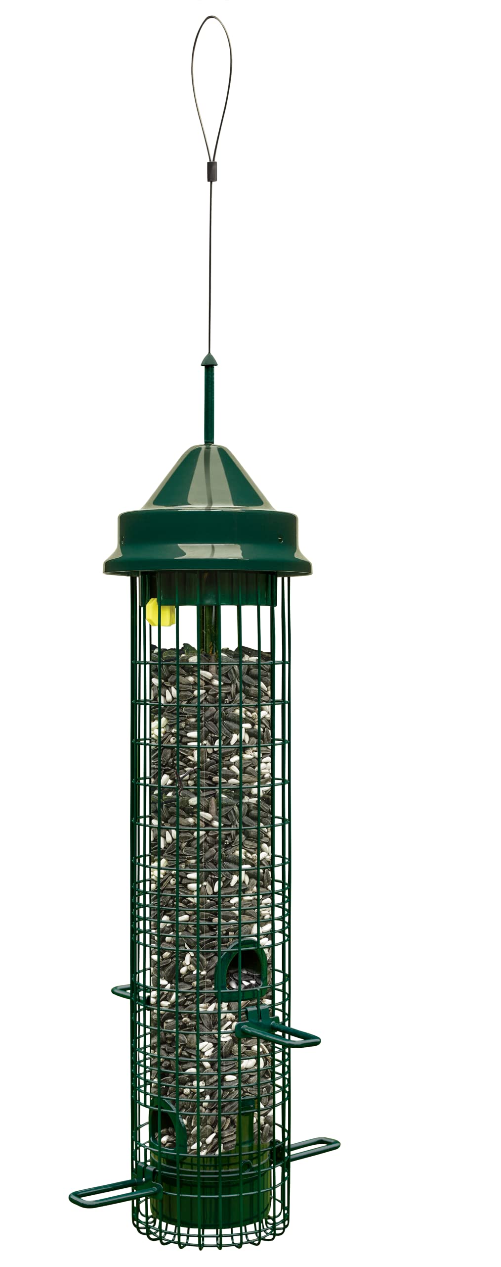 10 Best Unique Chickadee Bird Feeders for Your Garden - Hummingbirds Plus