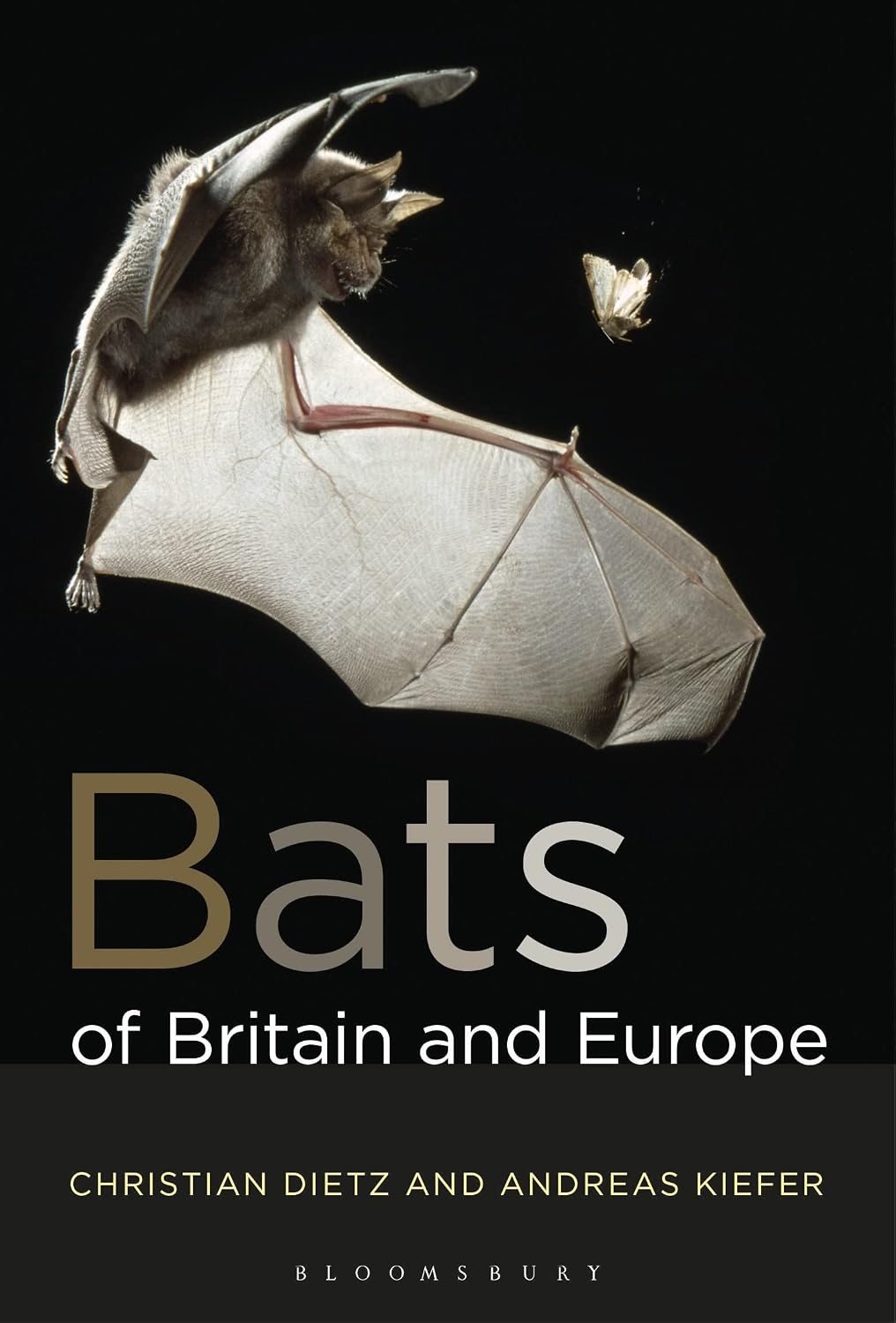 Bats of Britain and Europe (Bloomsbury Naturalist): Amazon.co.uk: Dietz ...