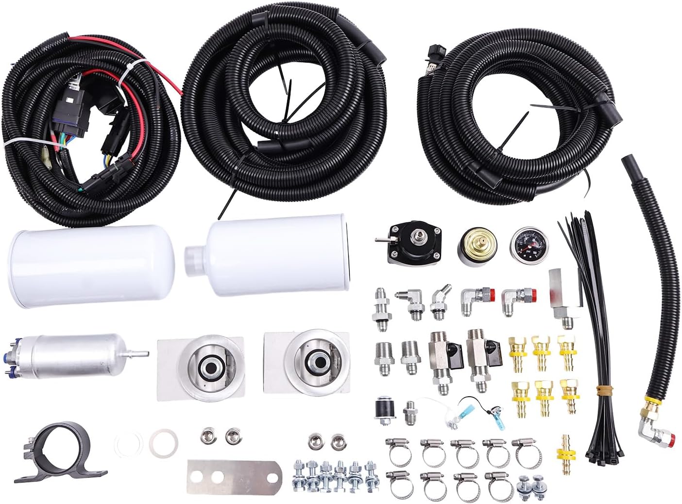 Amazon.com: HOLDWELL Complete Electric Fuel Pump Conversion Kit ...