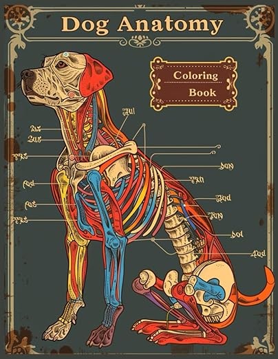 Dog Anatomy Coloring Book: Detailed Pelvic Structure - Skeletal System ...