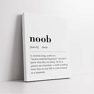 Amazon.com: Poster Master Gaming Canvas - Noob Definition Print ...