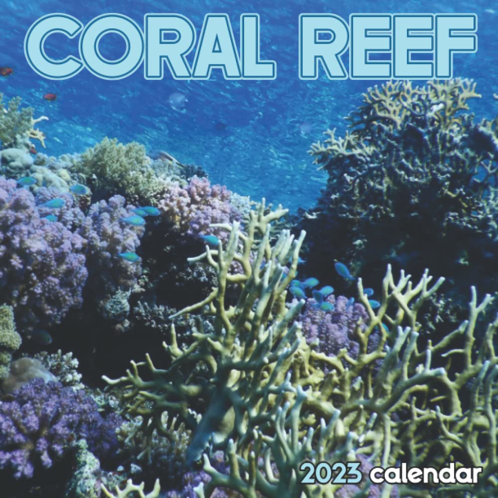 Reef Calendar 2023