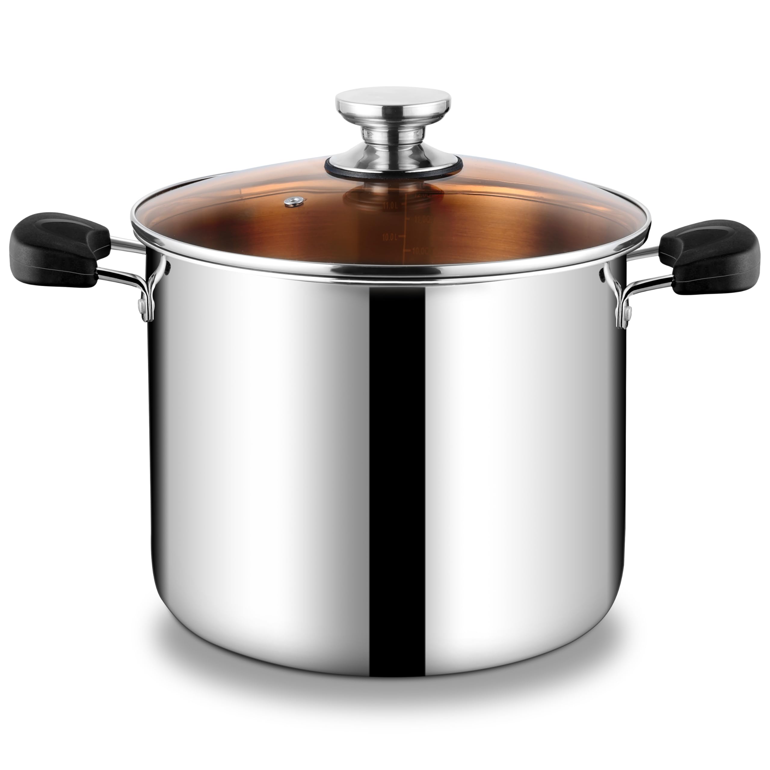 Amazon.com: Onader 12 Quart Stainless Steel Stock Pot for Cooking Large ...