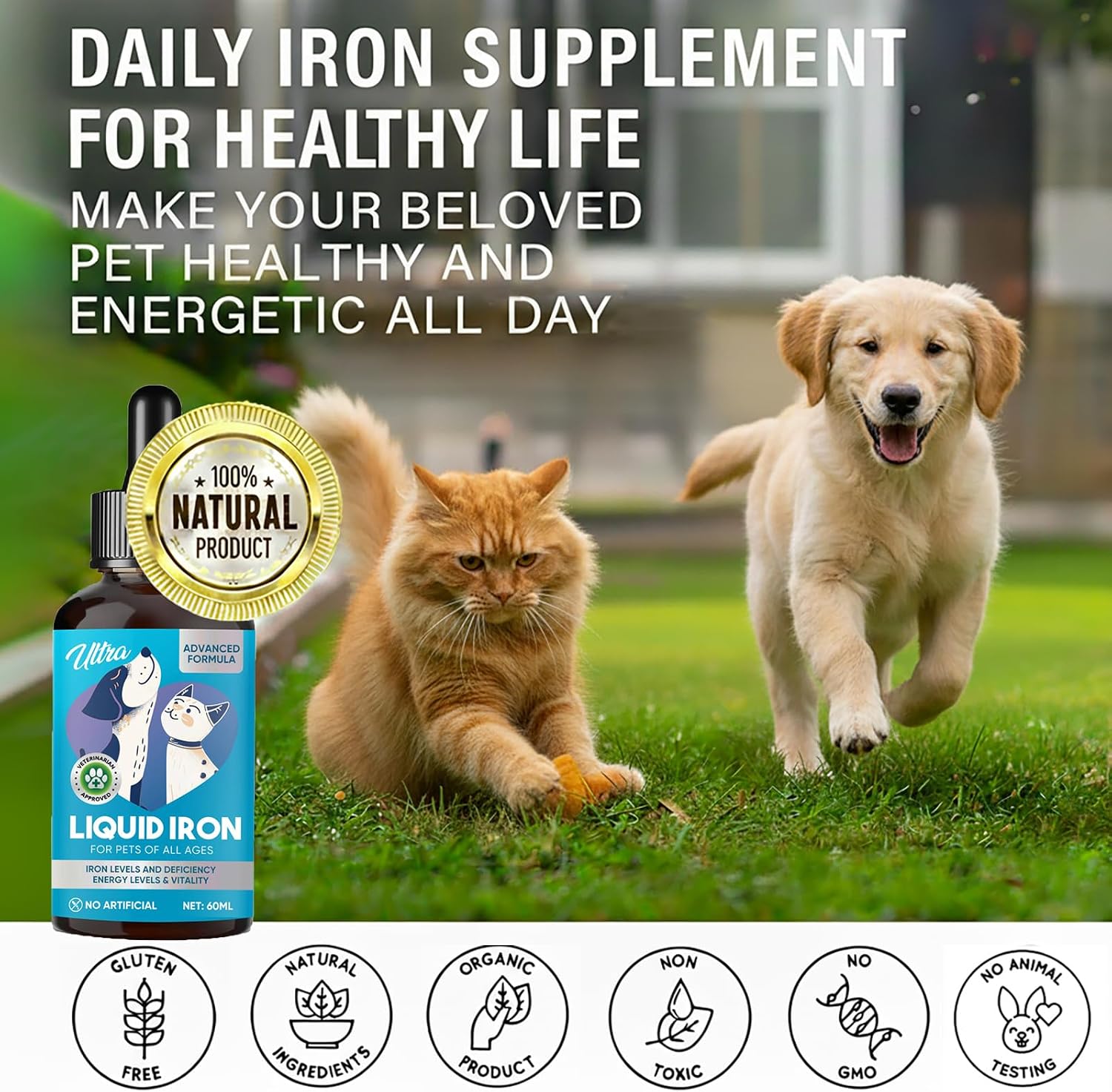 Nutritious Dog Food Options To Combat Anemia: A Comprehensive Guide | Riosc