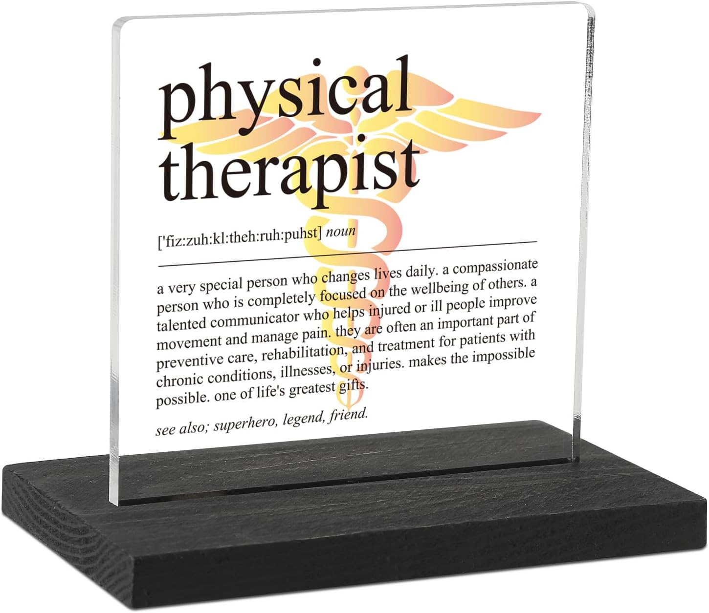 Amazon.com: Physical Therapist Appreciation Gifts, Physical Therapist ...