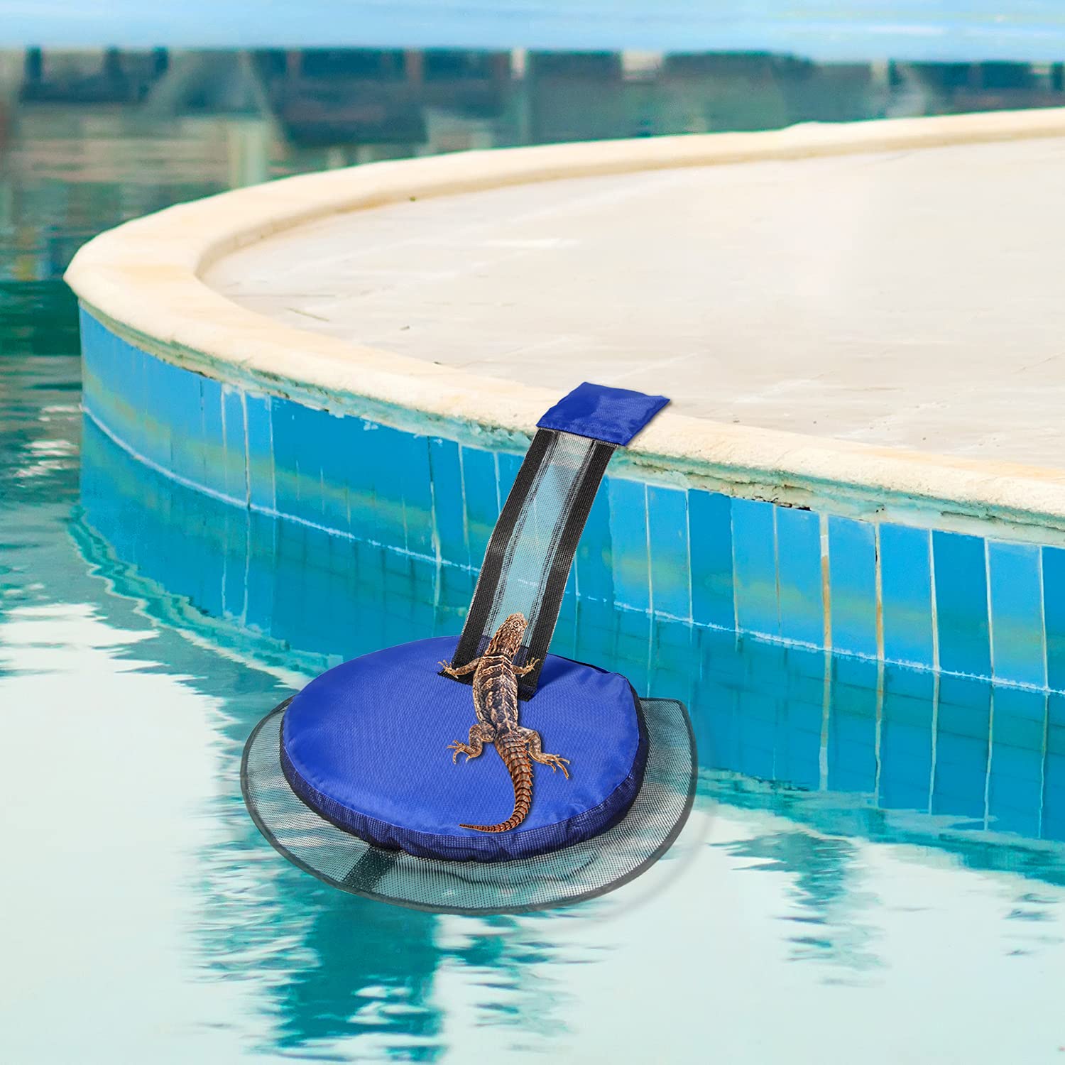 Wildlife Saving Device Pool Animal Rescue Ramp - Floating Escape Ladder ...