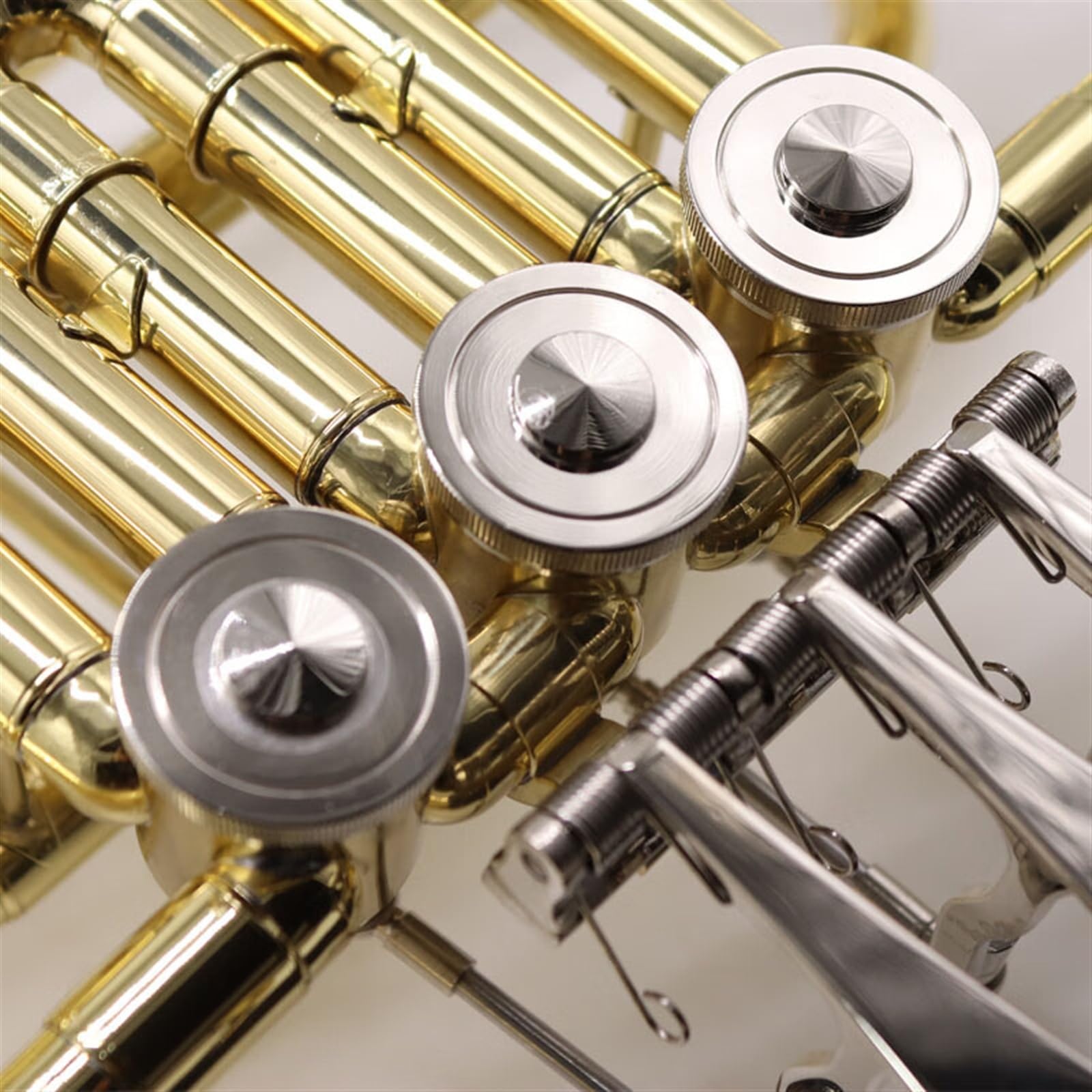 Pessoa Tocando Trompa Francesa Gripophone Trompete Telefone Lyre