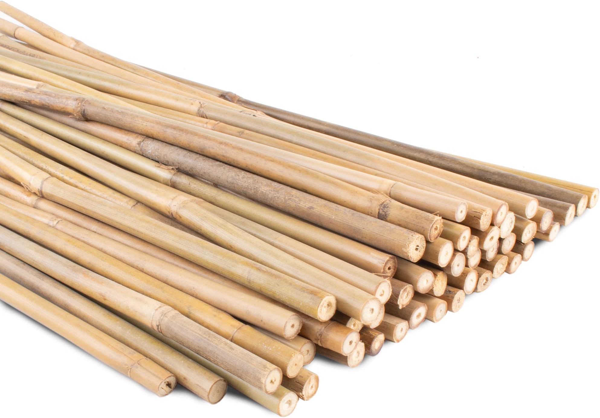 Amazon.com : 20 Pcs 18 Inch Natural Bamboo Plant Support Stakes for ...