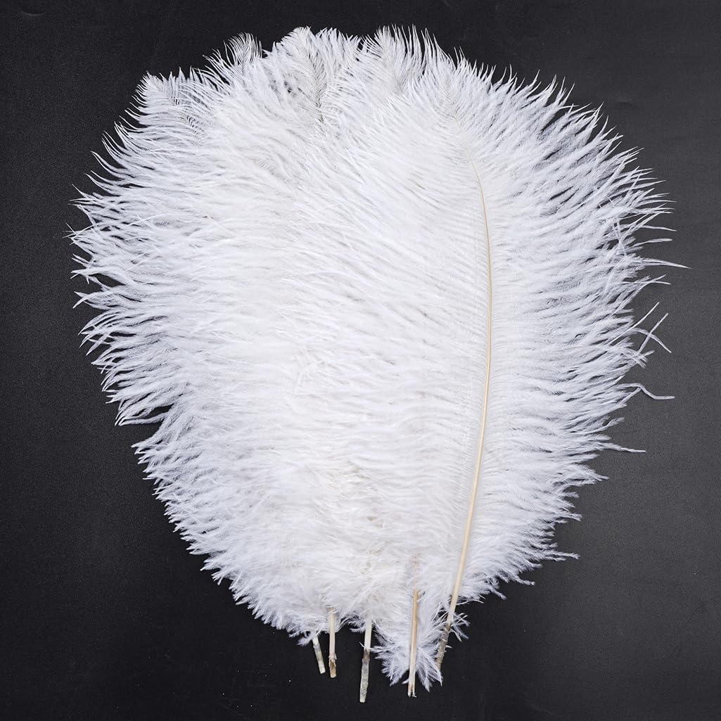 Amazon.com: LONDGEN 5pcs Ostrich Feathers 16-18inch(40-45cm) for ...