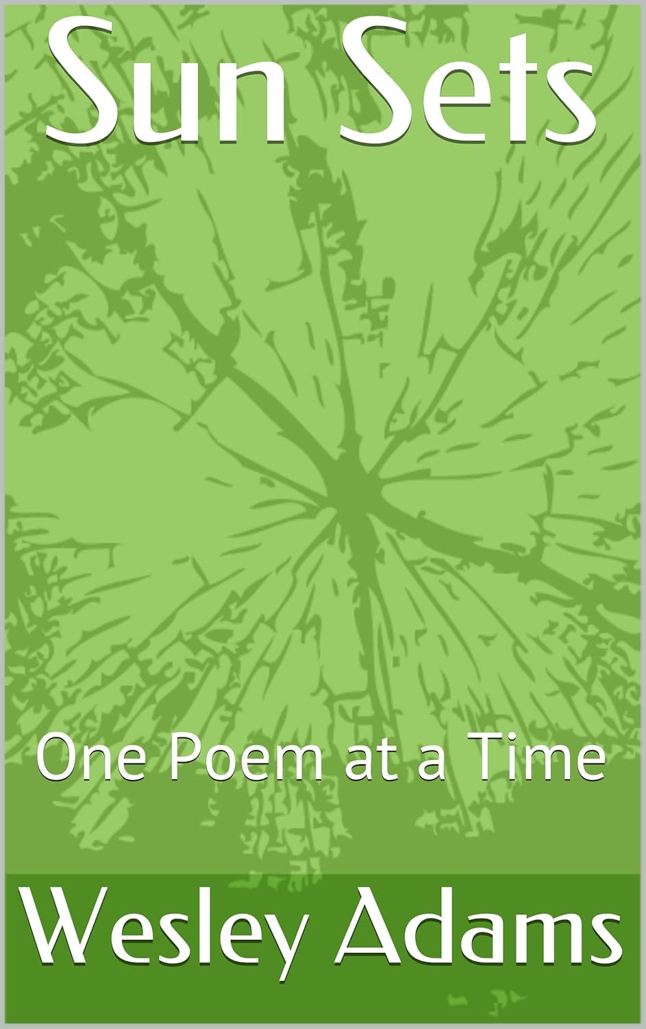 Amazon.com: Sun Sets (One Poem at a Time Book 1) eBook : Adams, Wesley ...