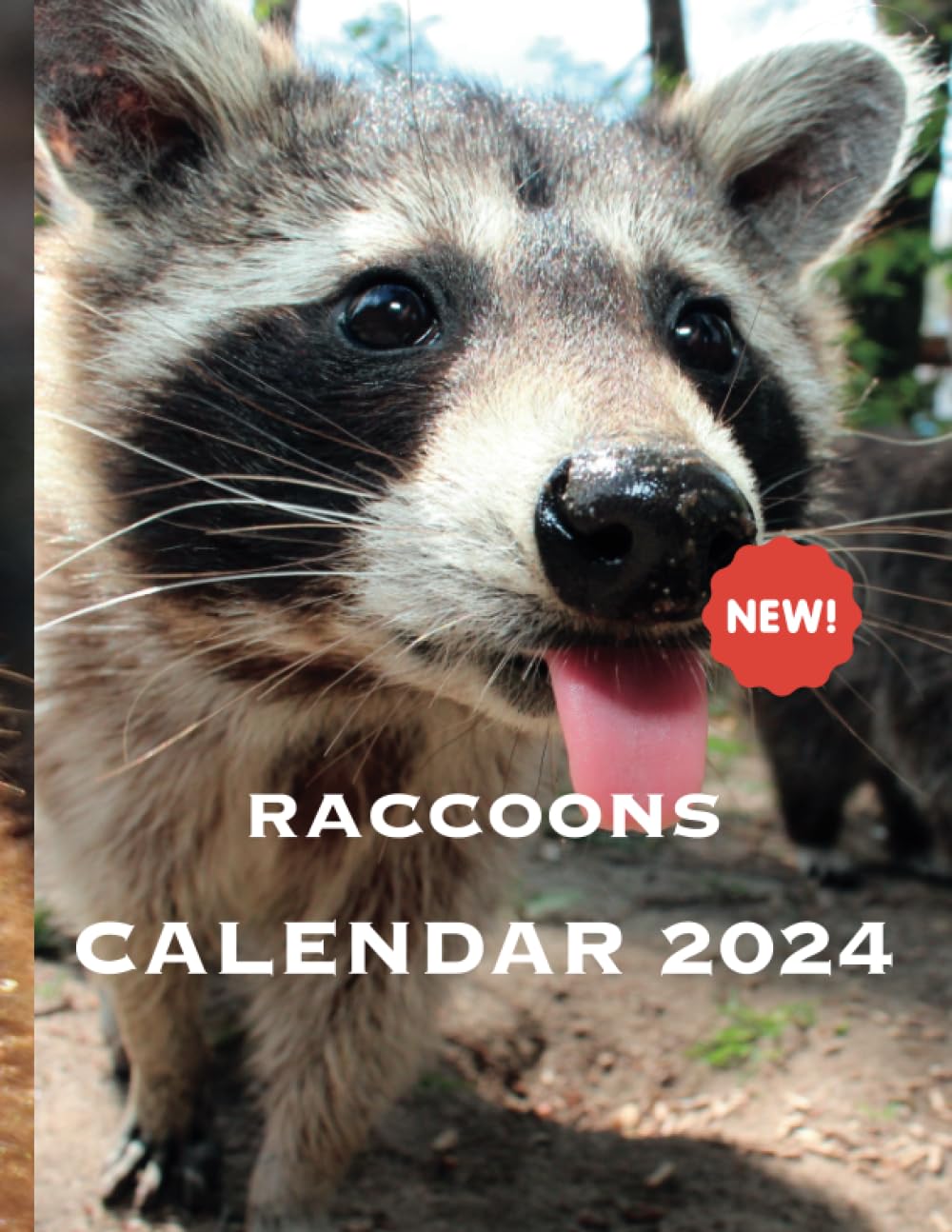 Amazon.com: Raccoon Calendar 2024: Animal Calendar 2024. Raccoon ...