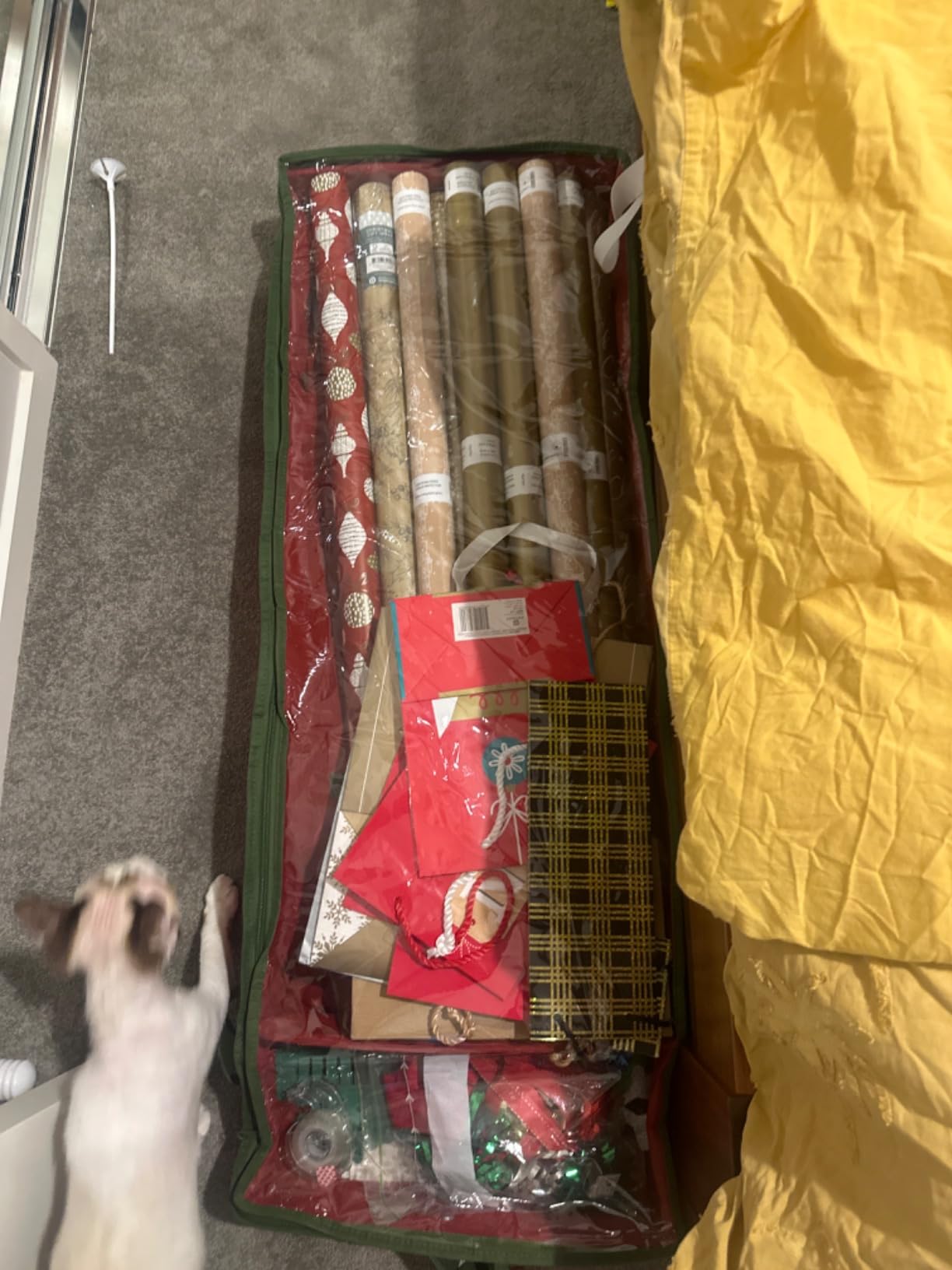 Whitmor Hanging Gift Wrap Organizer : Amazon.com.au: Home