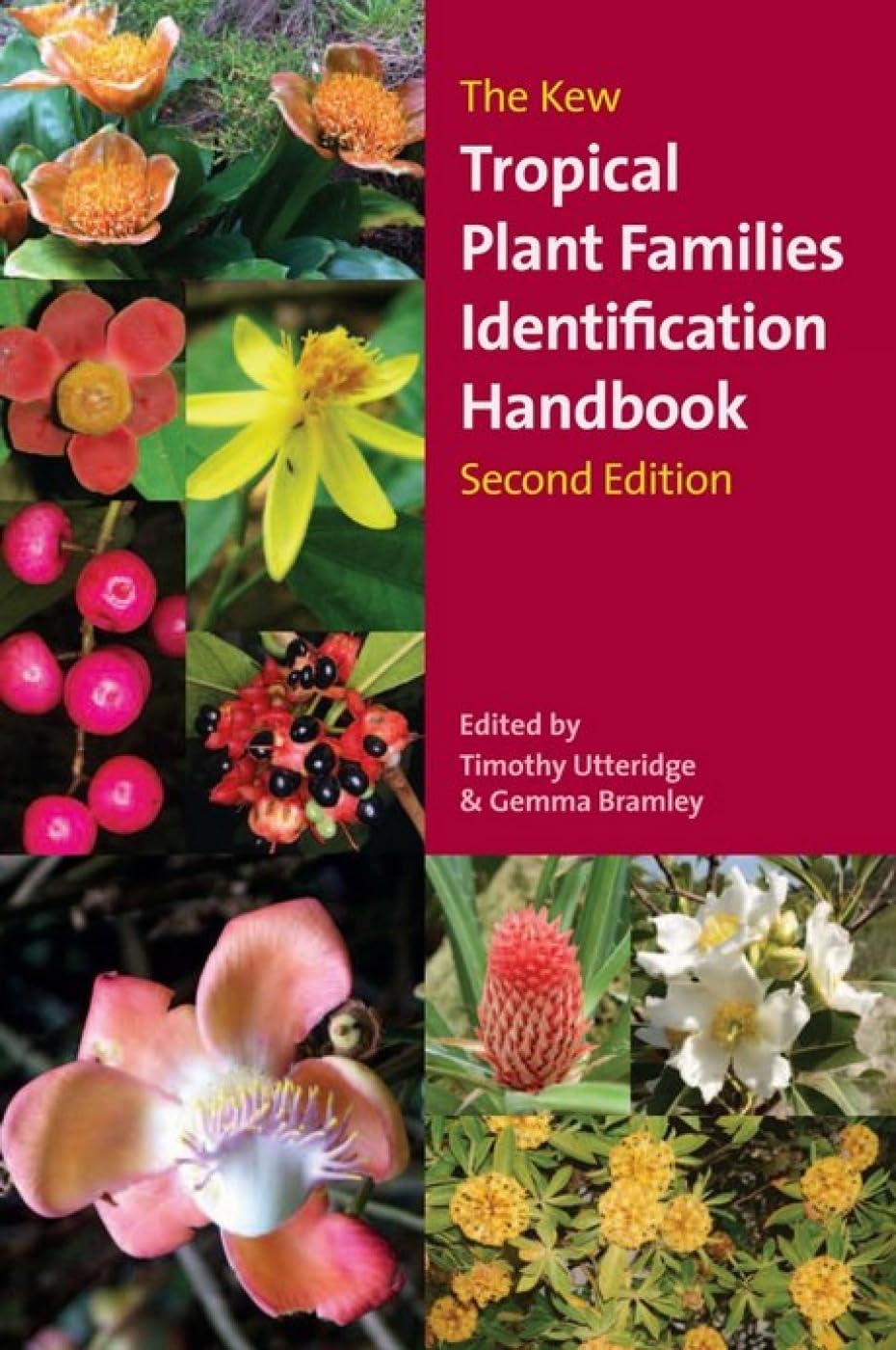 Kew Tropical Plant Identification Handbook, The: Second Edition: Amazon ...