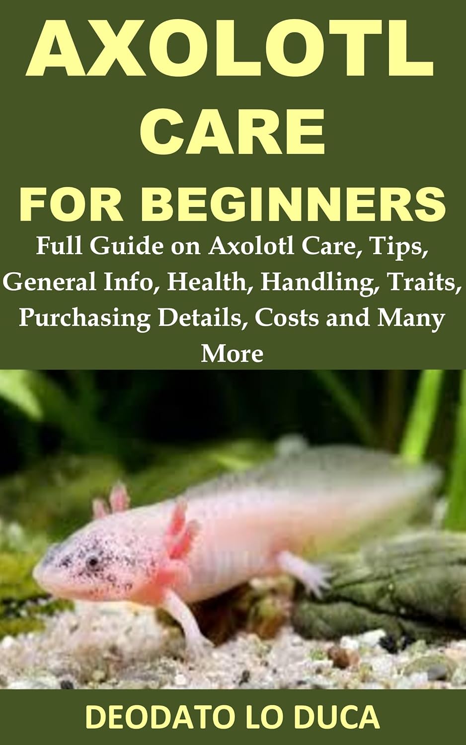 AXOLOTL CARE FOR BEGINNERS: Full Guide on Axolotl Care, Tips, General ...