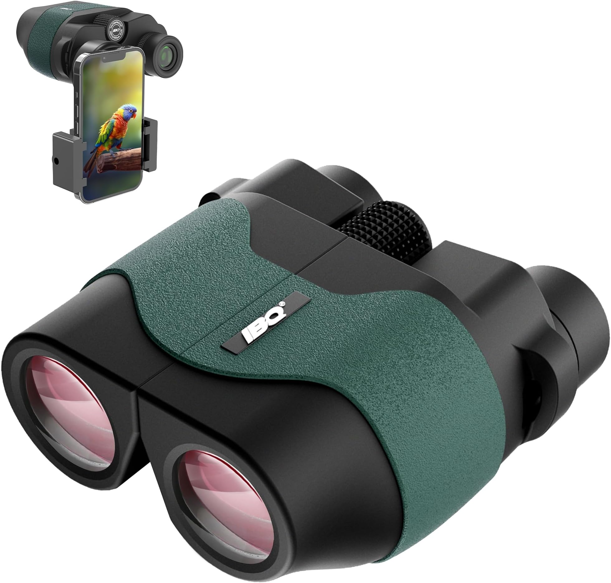 Amazon.com : Compact Binoculars, High Powered Binoculars for Adults ...