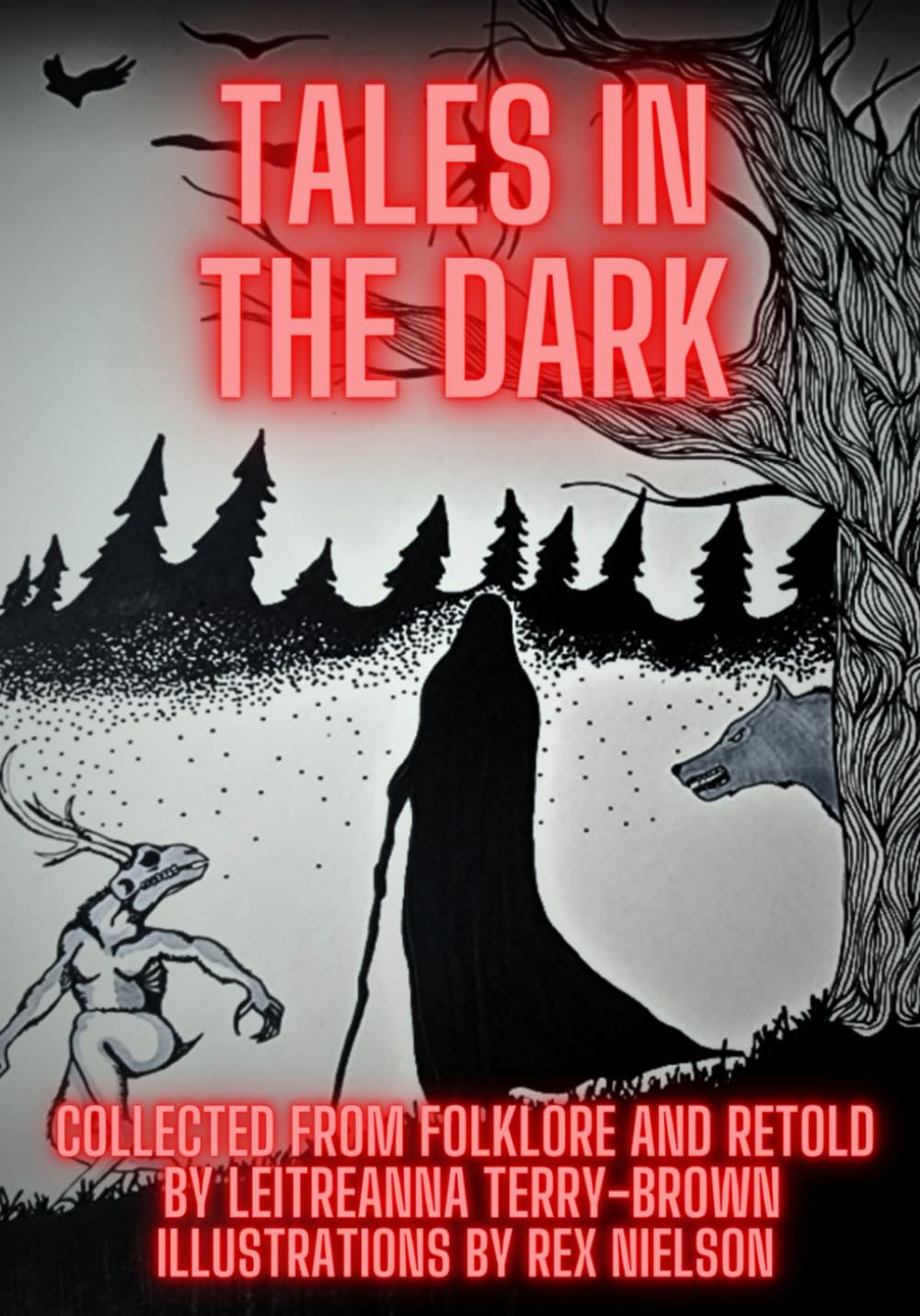 Tales in the Dark: Collected from Folklore and Retold by Leitreanna Terry-Brown (The Family ...