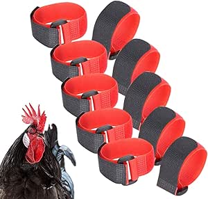 Amazon.com: Rooster Noise Neck Strap, Chicken Supply Nylon Collar Anti ...