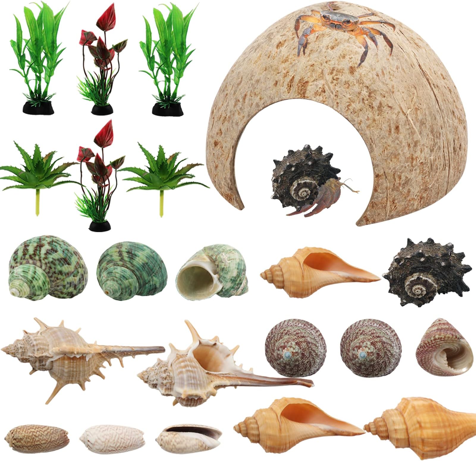 Amazon.com: PietyPet Hermit Crab Supplies, 22 pcs Hermit Crab Shells ...