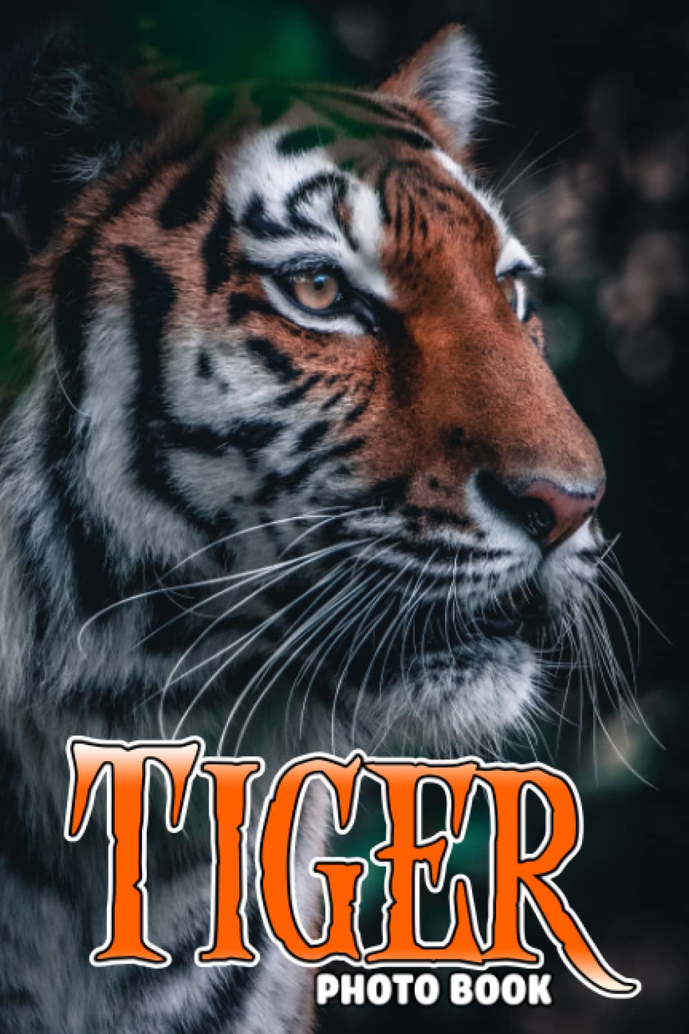 Amazon.com: Tiger Photo Book: Wildlife Animal Colorful Pictures For All ...