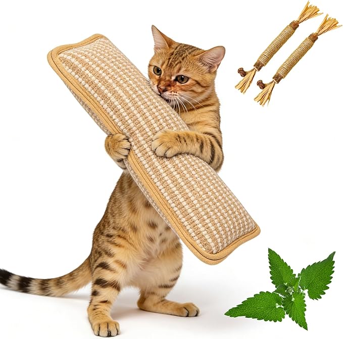 Amazon.com : Donpesho Interactive Catnip Chew Toy - Catnip Pillow Toy ...