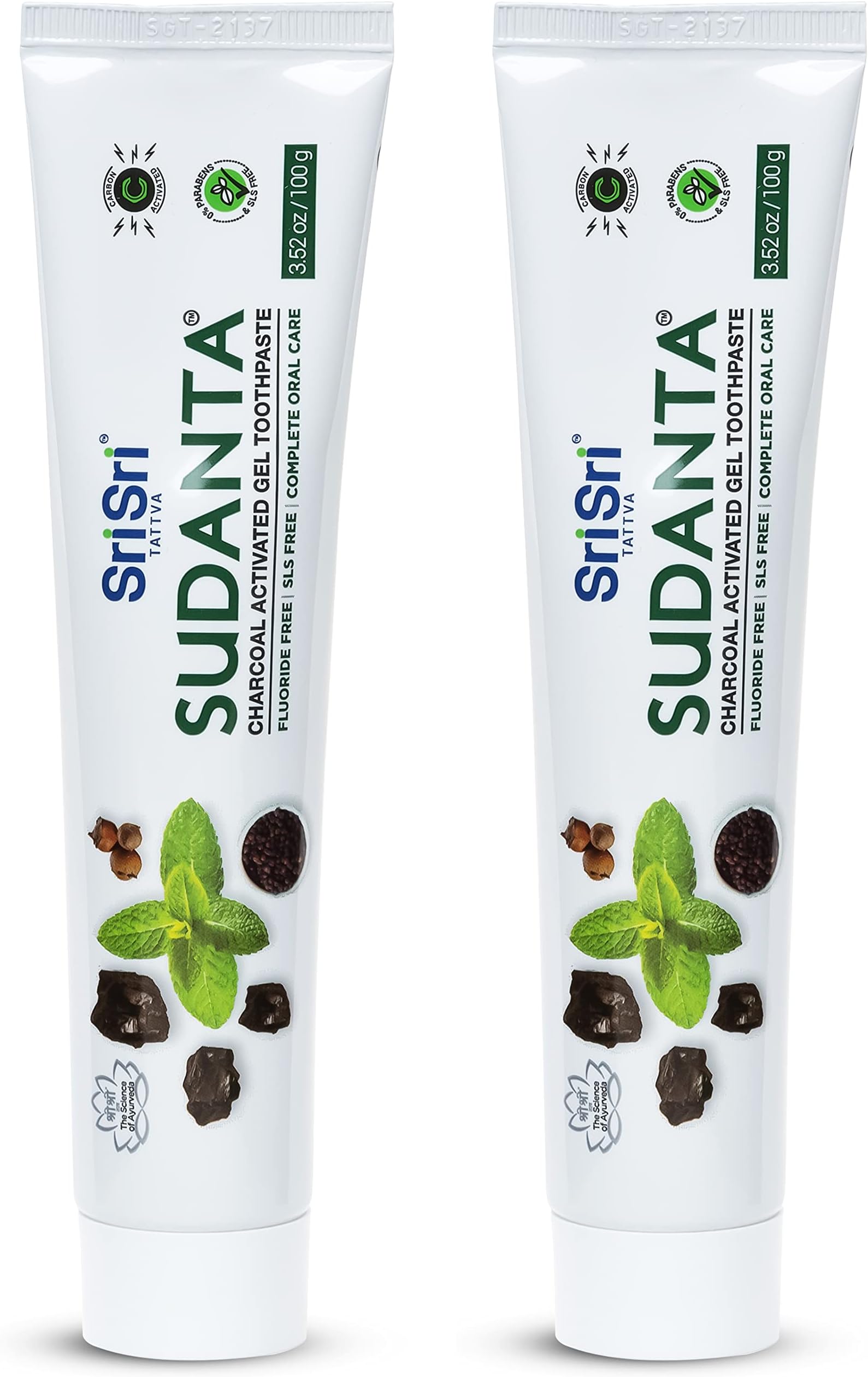 Amazon.com: Sri Sri Tattva Sudanta Activated Charcoal Toothpaste Gel ...