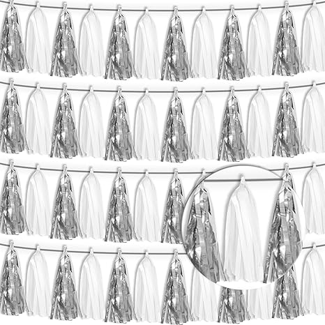 Amazon.com: 4P White Silver Tassel Banner Garland Metallic Foil Fringe ...