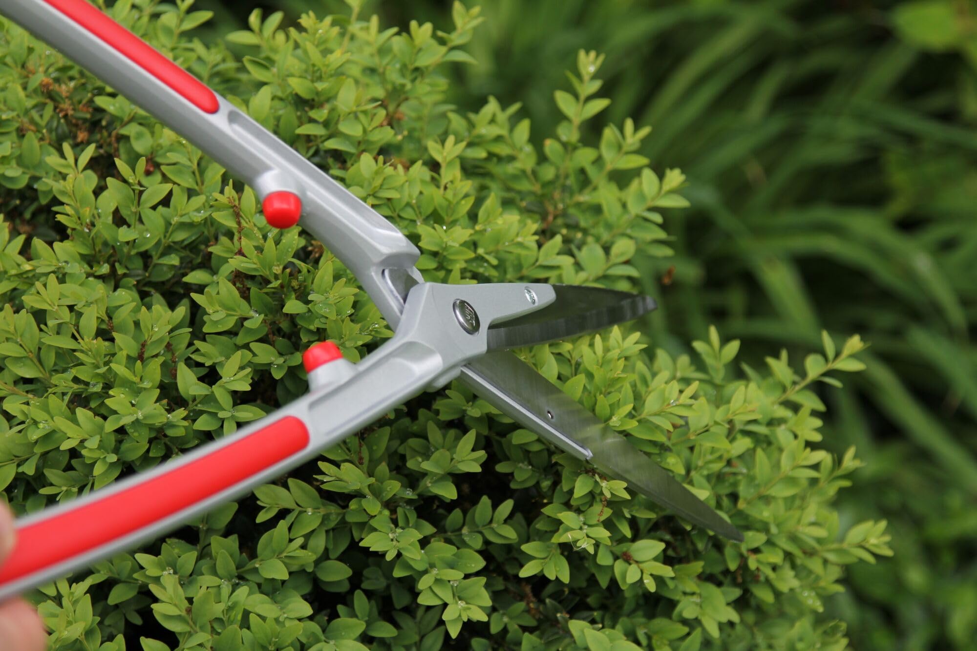 ARS KR-1000 Hedge Shear -Ultra Light- Professional Garden Pruning Tool with Sharp Blades and ...
