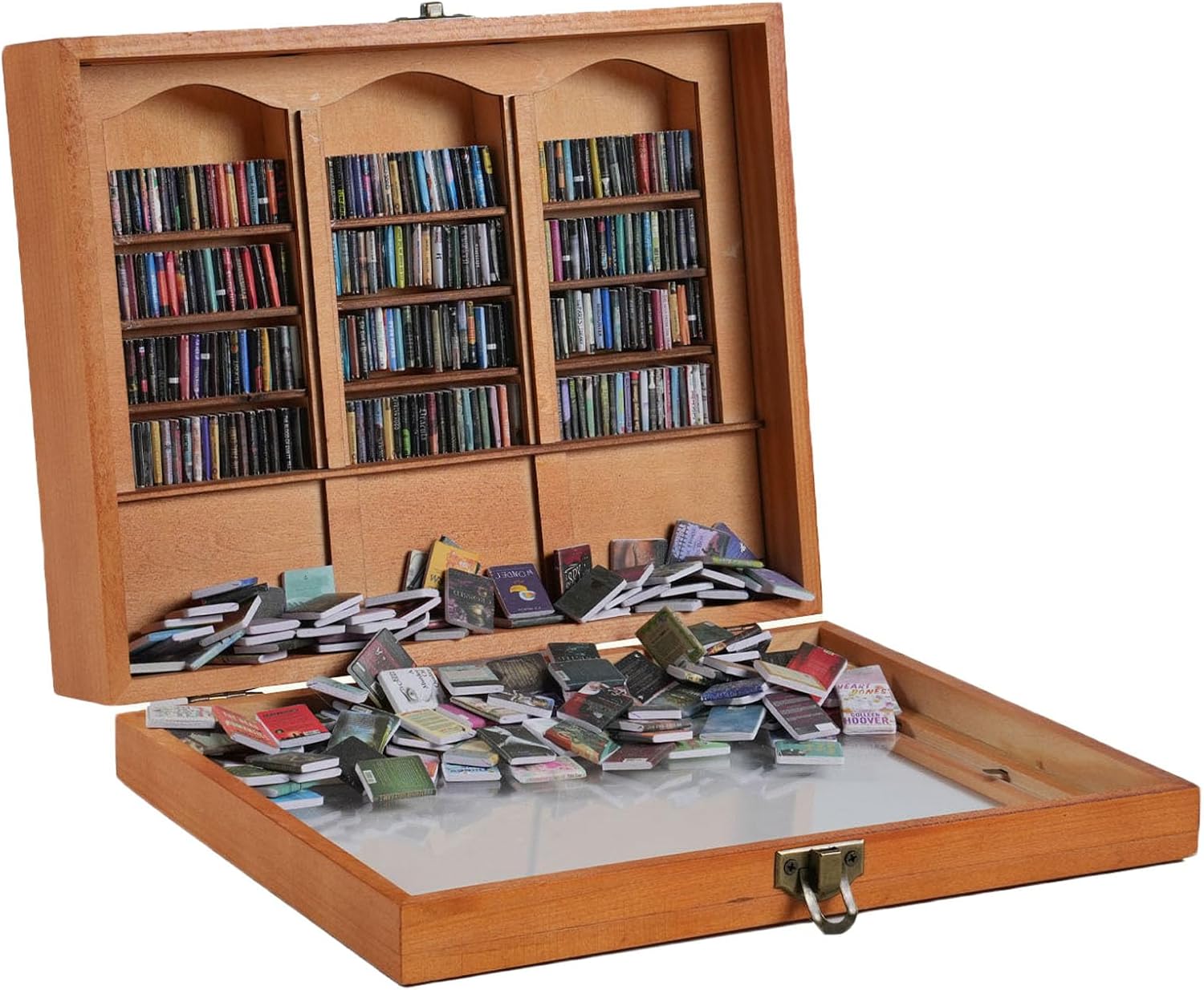 Amazon.com: Ddszaa Anxiety Bookshelf | Shake Away Your Anxiety, Stress ...