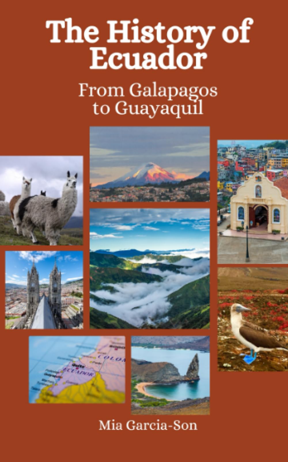 The History of Ecuador: From Galapagos to Guayaquil: Garcia-Son, Mia ...