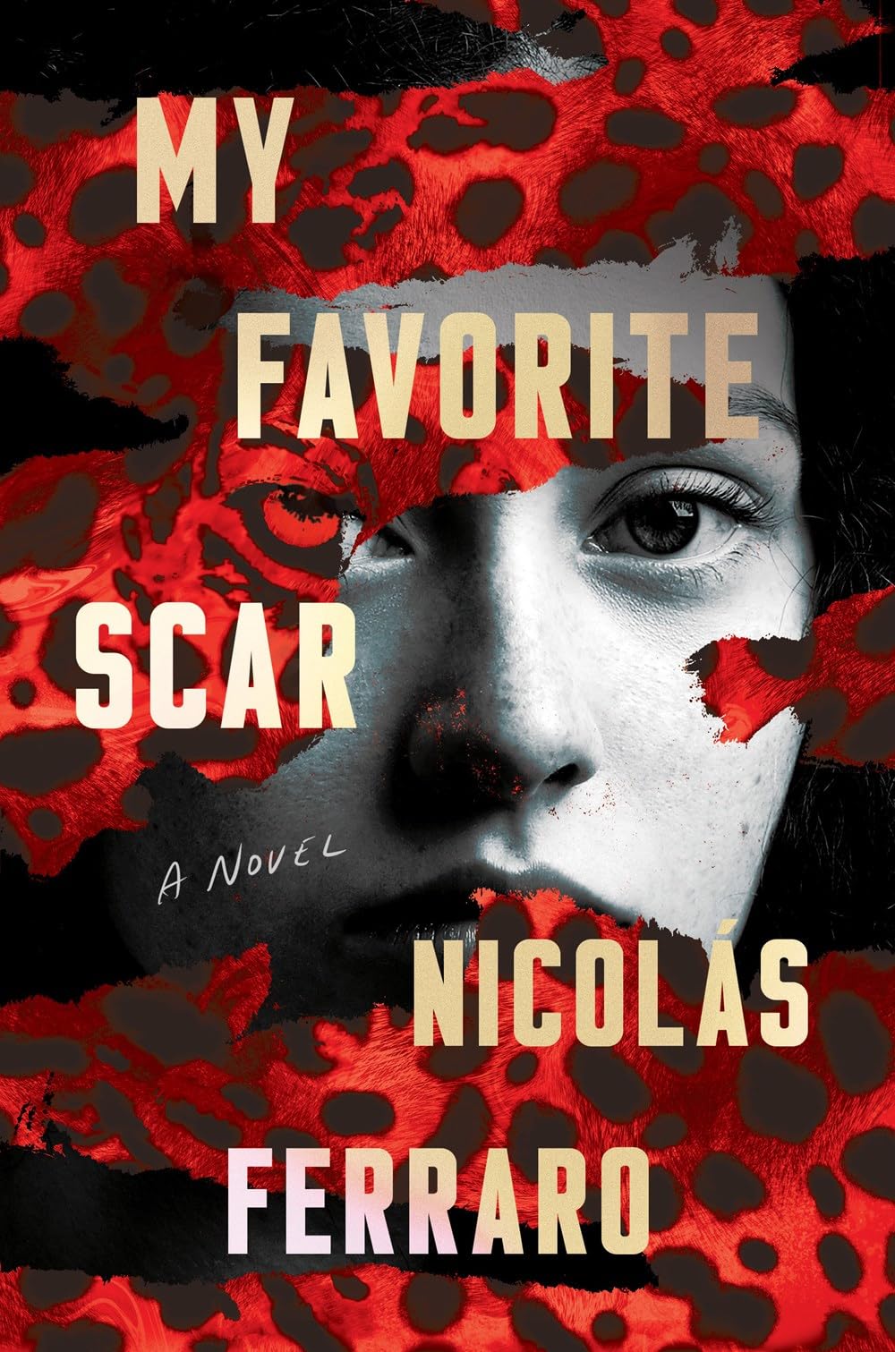 Amazon.com: My Favorite Scar: 9781641295154: Ferraro, Nicolás, Craig ...