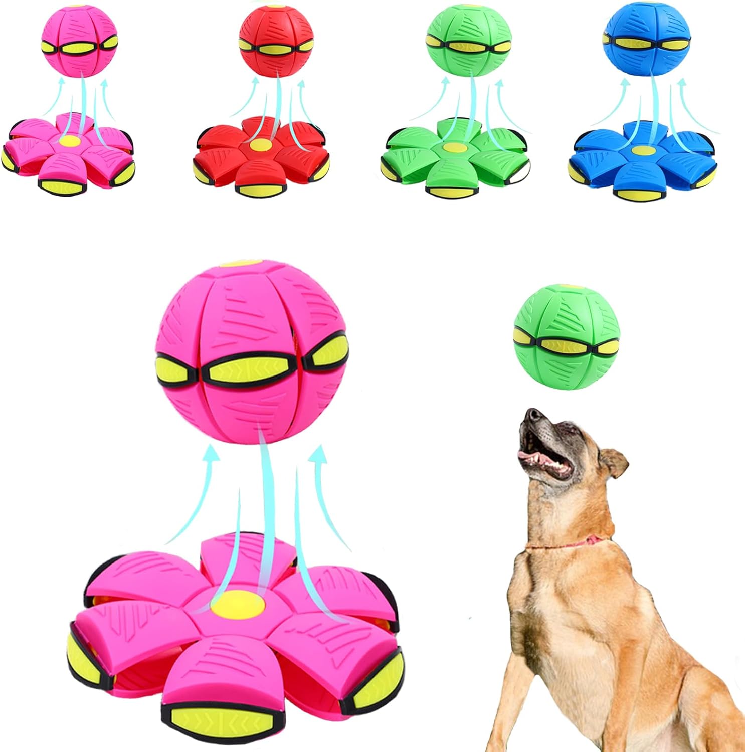 Pet Supplies : Magic Bouncing Ball, Magic Meta Ball,Magic Flying Saucer ...